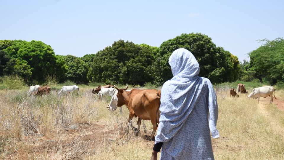 Miss World Somalia