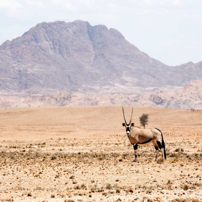 Beauty with a Purpose Through Her Eyes - Miss World Namibia