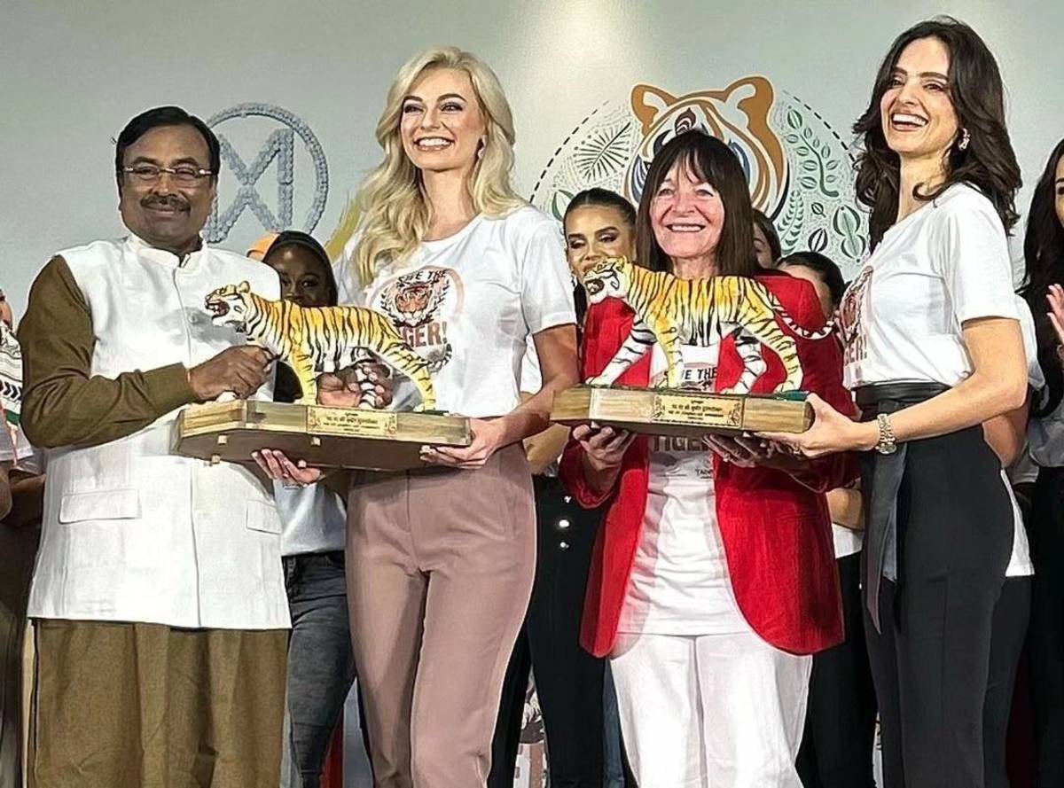 Stage for 'Save The Tiger' Campaign and Upcoming Tadoba Festival - Kana ...