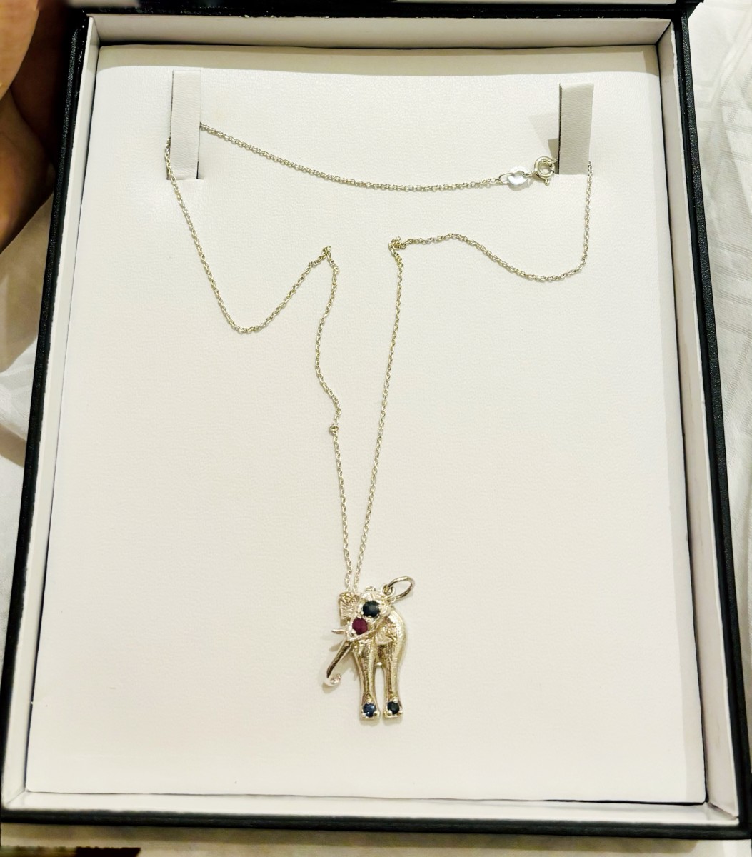 Sri Lankan Sapphire Pendant for Charity Auction - Kavindi Nethmini ...