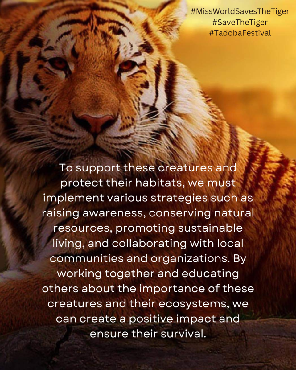 TADOBA TIGER - Chelsie Allison - Miss World 2023 Scotland
