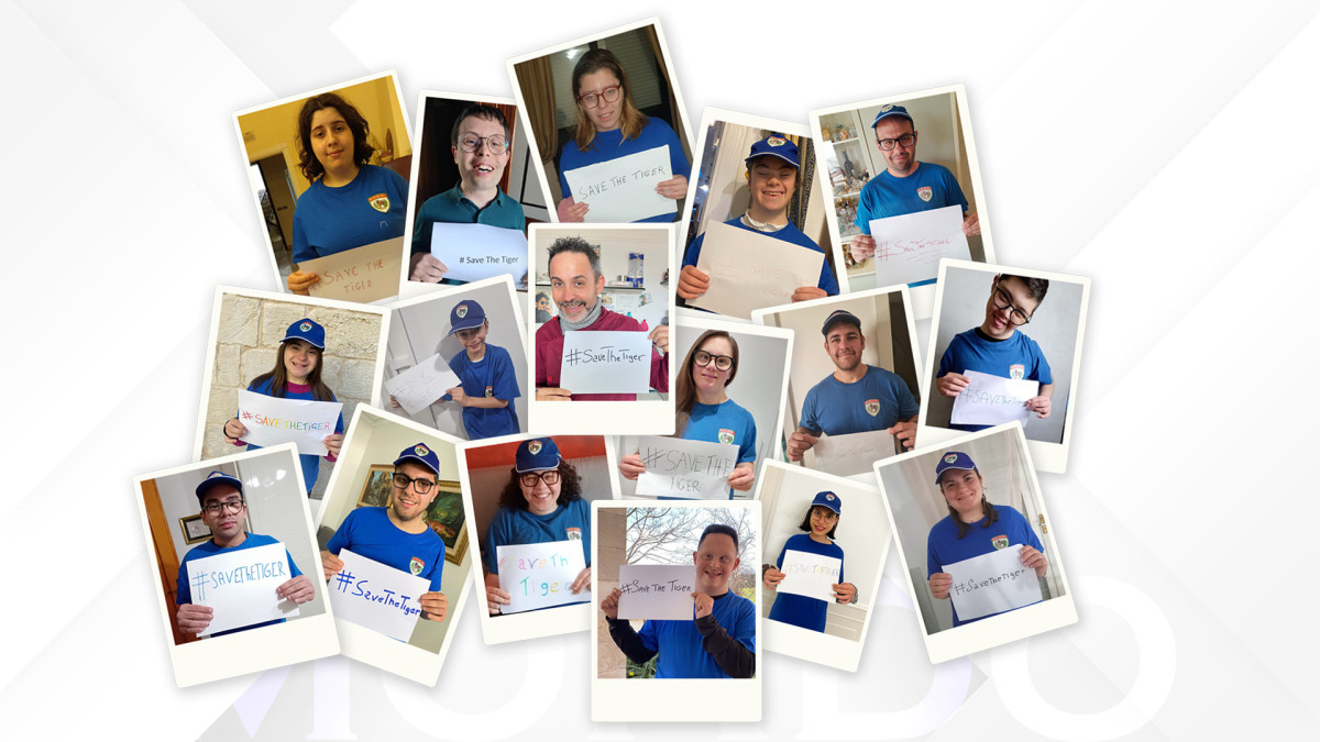 #SaveTheTiger: A Message of Inclusion and Conservation. - Rebecca ...