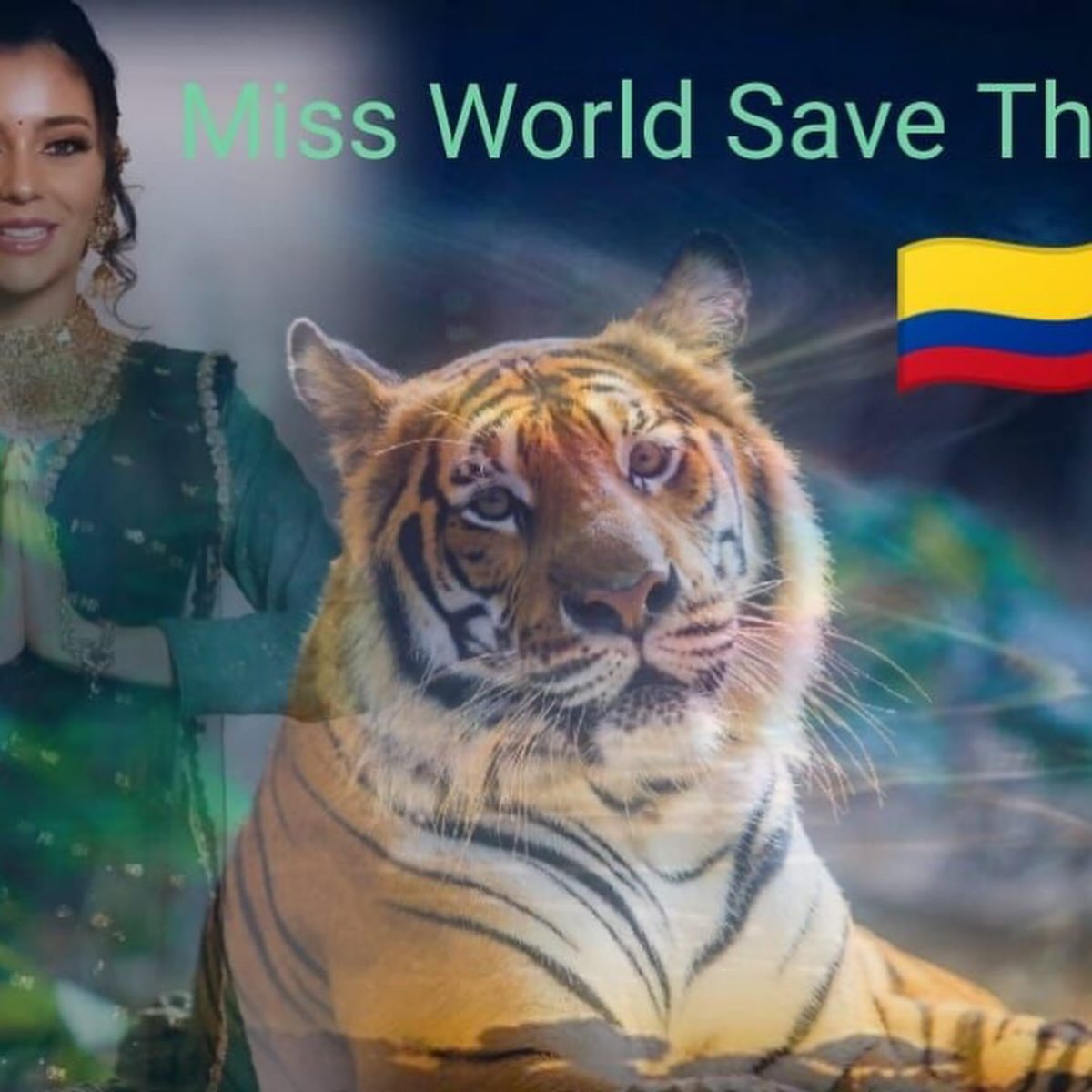 Colombia in Support of the Save the Tiger Campaign - Camila Pinzón ...