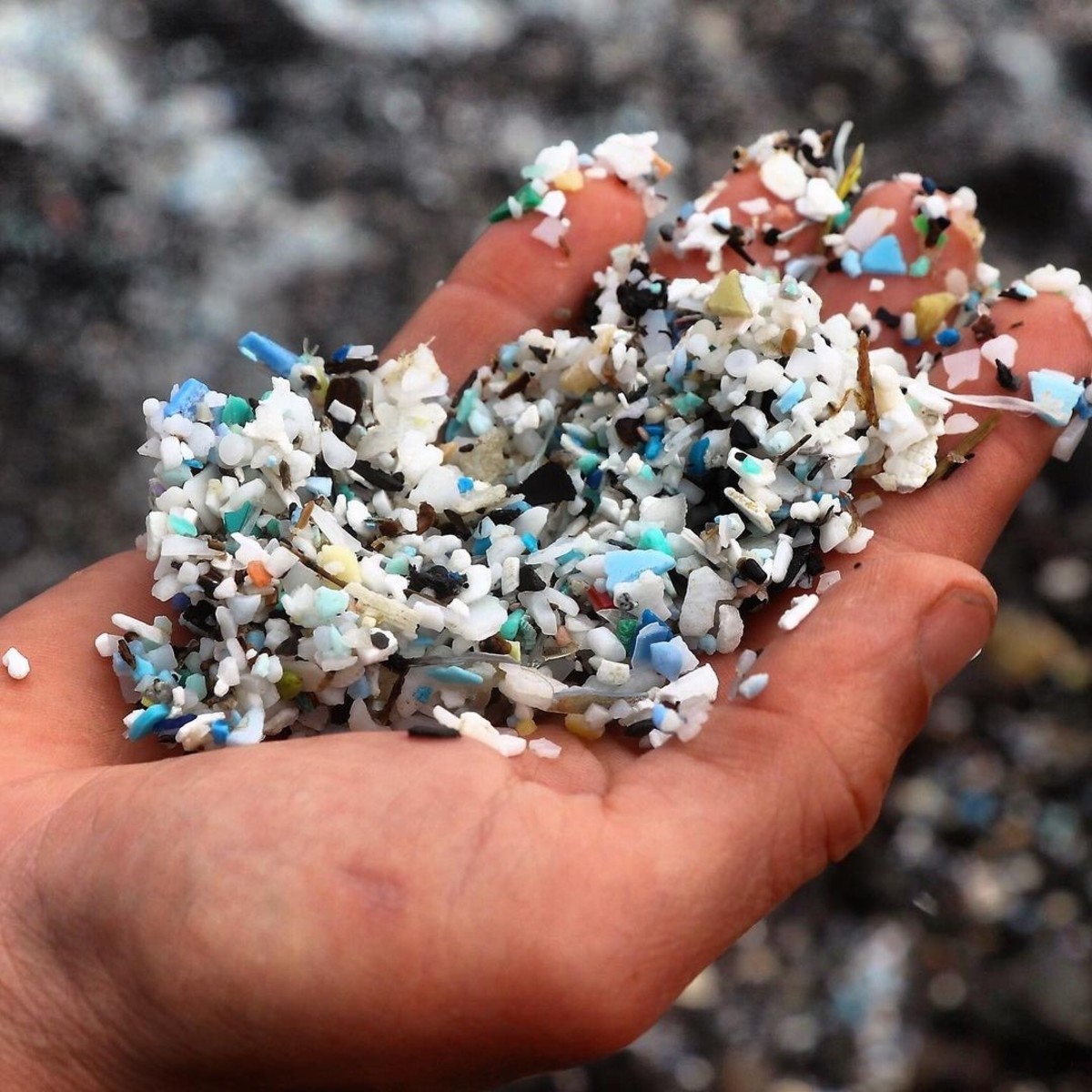 A World Without Plastic Pollution - Miss World