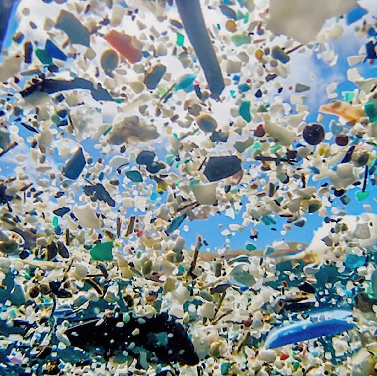 A World Without Plastic Pollution - Miss World